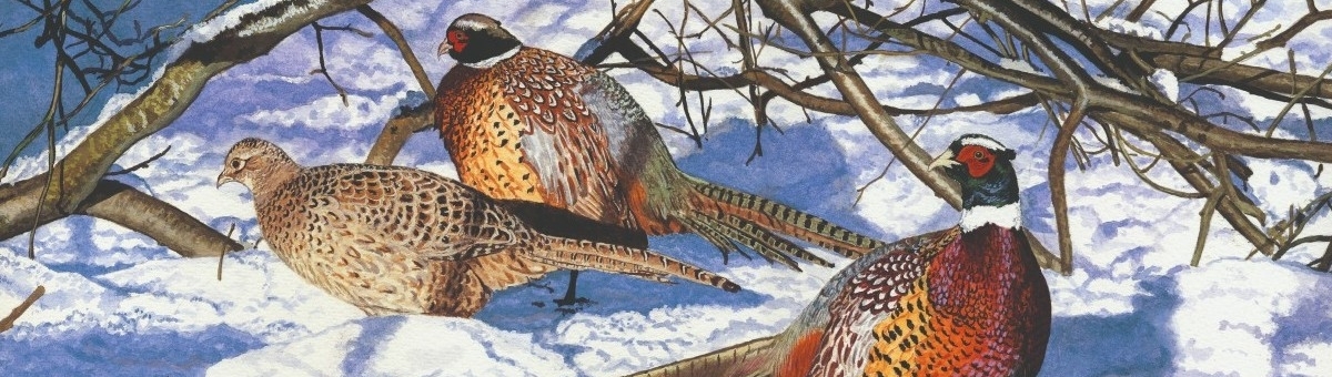 Game & Wildlife Conservation Trust