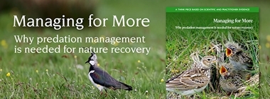 Game & Wildlife Conservation Trust - The GWCT