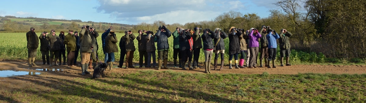 Game & Wildlife Conservation Trust