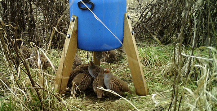 Scotland - Game and Wildlife Conservation Trust