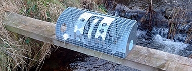 Game & Wildlife Conservation Trust